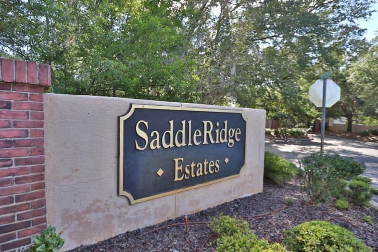 Saddleridge Estates Community - TampaHomesSold.com